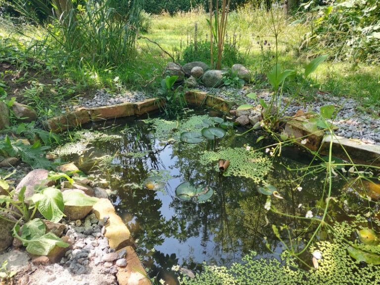 Se videoen: Rålam gemmer sig i den vilde have - naturhaven.dk