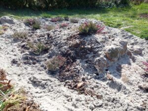 Naturhaven Awards 2022: Året der gik - naturhaven.dk