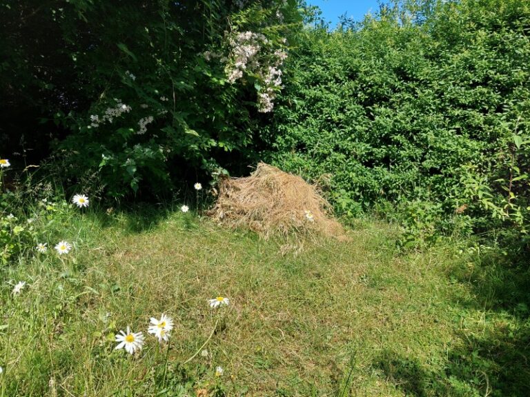 Naturhaven Awards 2022: Året der gik - naturhaven.dk