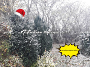 Naturhaven Awards 2022: Året der gik - naturhaven.dk