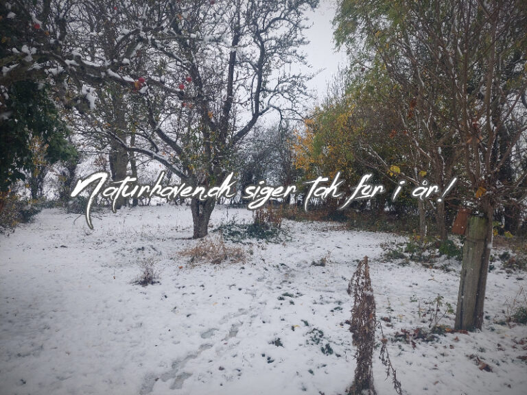 Naturhaven Awards 2022: Året der gik - naturhaven.dk