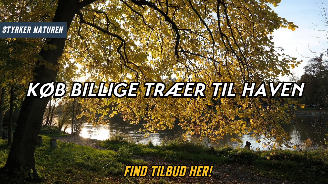 Ting til din naturhave - naturhaven.dk