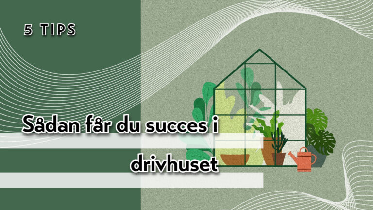 5 tips der sikrer dig succes i drivhuset - naturhaven.dk