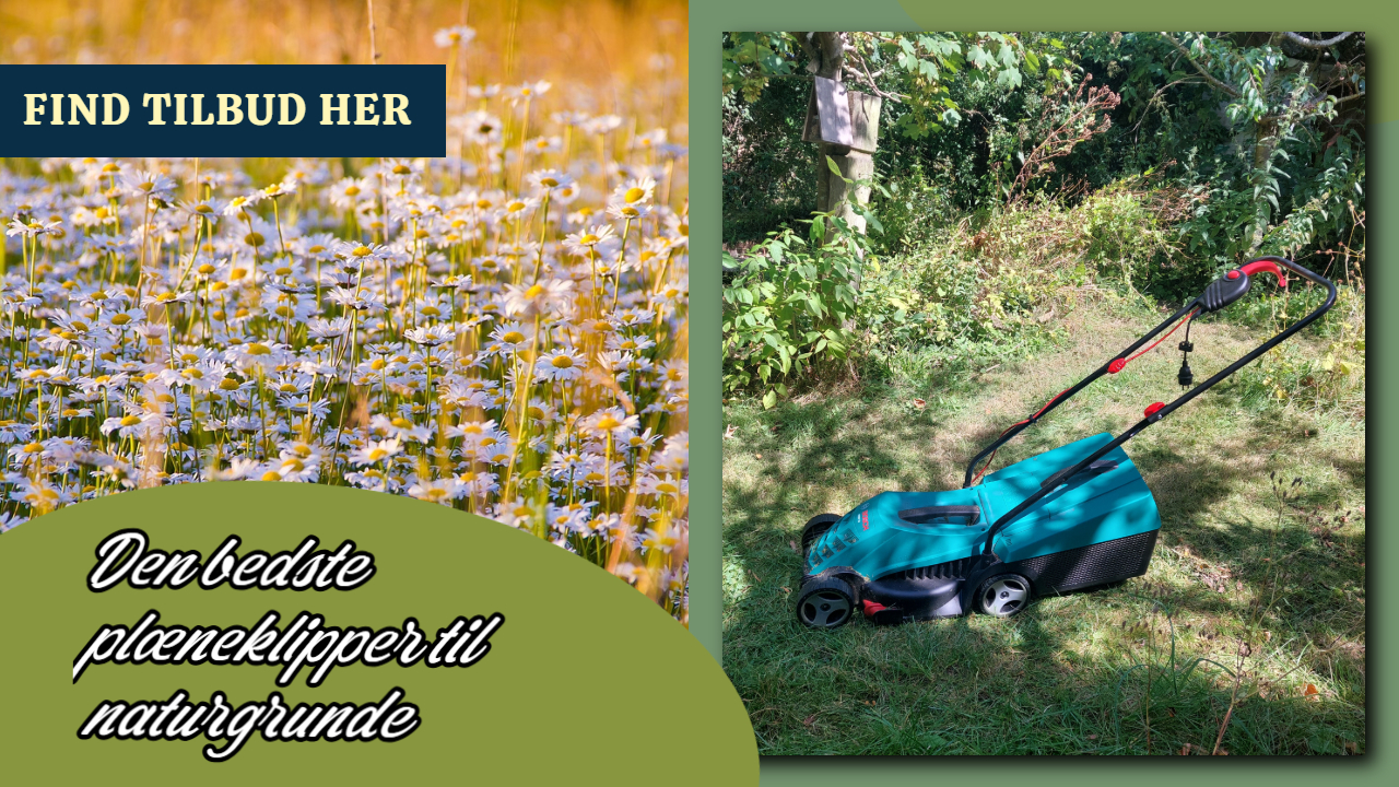 Tilbud og erfaringer: Bedste plæneklipper til naturgrunde - naturhaven.dk