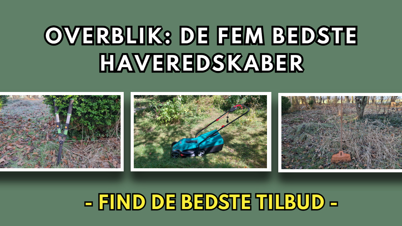 Overblik: De fem bedste haveredskaber til den vilde have - naturhaven.dk