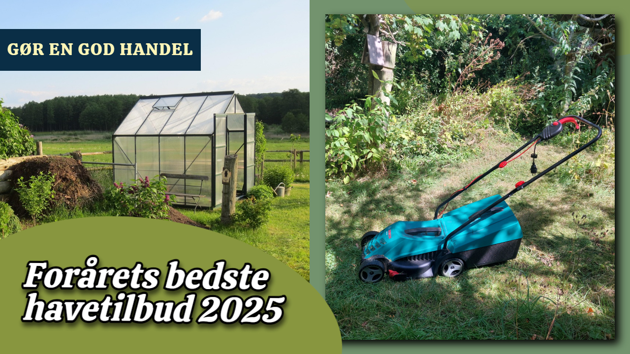 Naturhaven.dk anbefaler: Forårets bedste havetilbud 2025 - naturhaven.dk