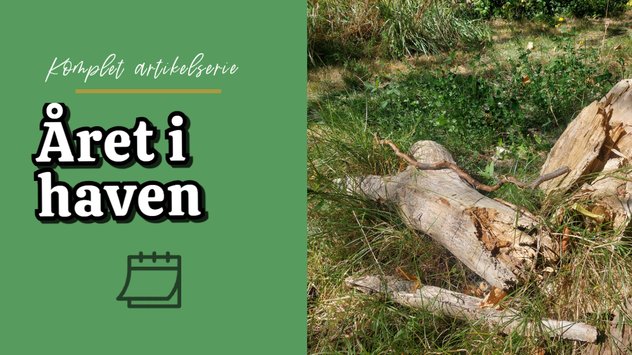 Artikelserien om året i haven er komplet - se den her - naturhaven.dk